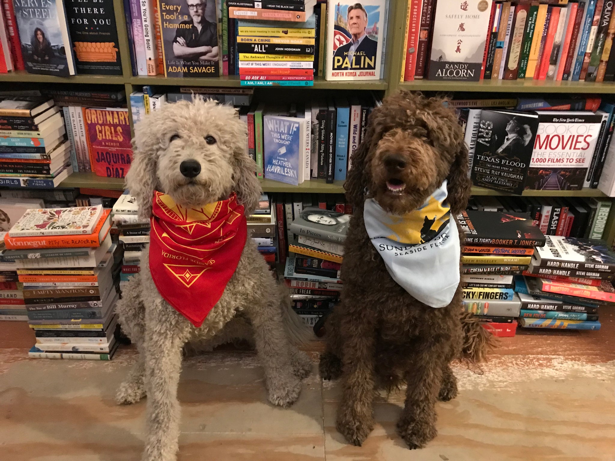 Sundog Books Gear